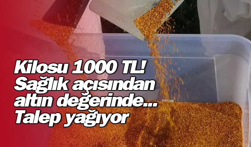 Kilosu 1000 TL! sağlık açısından altın değerinde... - Köroğlu Gazetesi ...